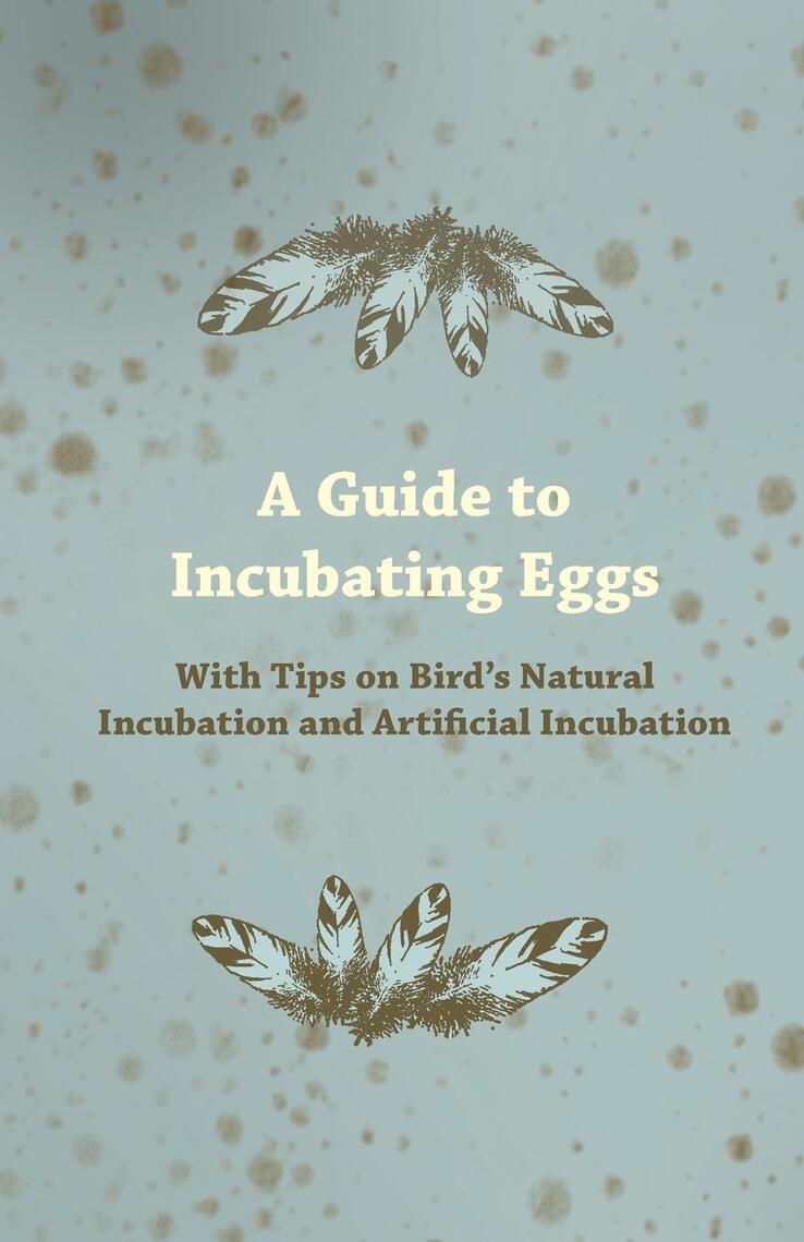 A Guide to Incubating Eggs - With Tips on Bird's Natural Incubation and ...