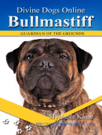 Pet Size o Meter Rabbit | PDF | Obesity | Dieting