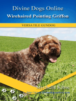 Pet Size o Meter Rabbit | PDF | Obesity | Dieting