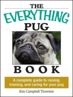 Pet Size o Meter Rabbit | PDF | Obesity | Dieting