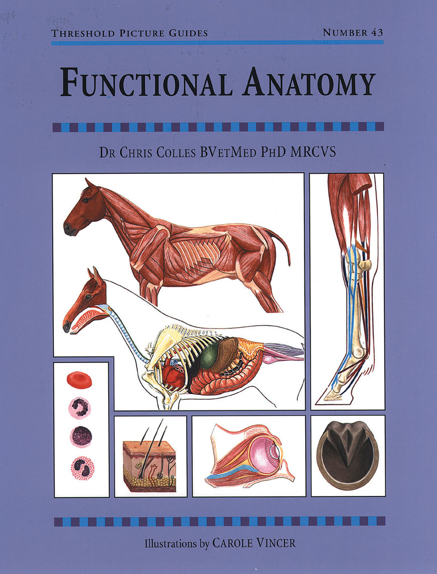functional-anatomy-by-chris-colles-book-read-online