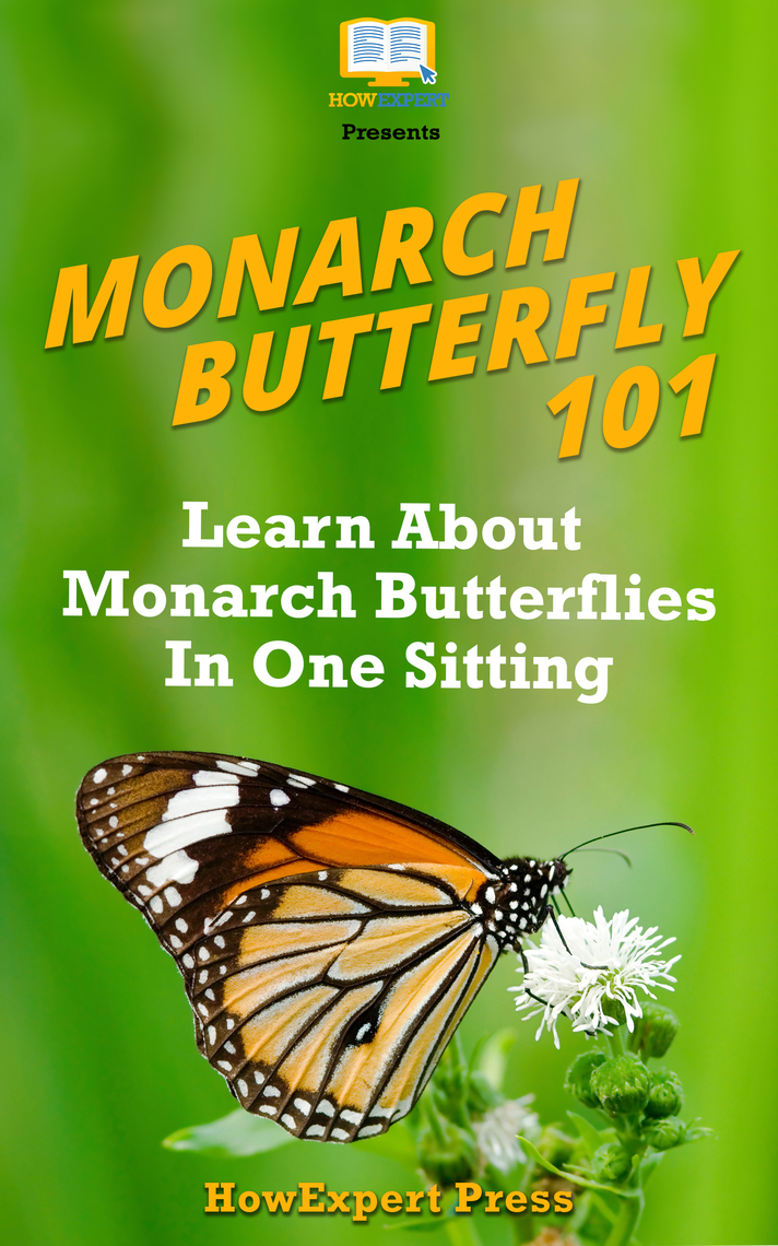 Monarch Butterfly 101: Learn About Monarch Butterflies In One Sitting ...