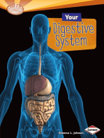 Digestive System Flow Chart | PDF | Digestion | Human Digestive System