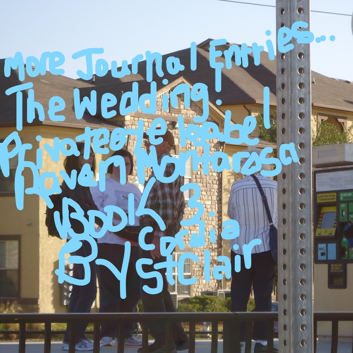 More Journal Entries.. The Wedding!! Series: Private Eye Isabel Raven ...