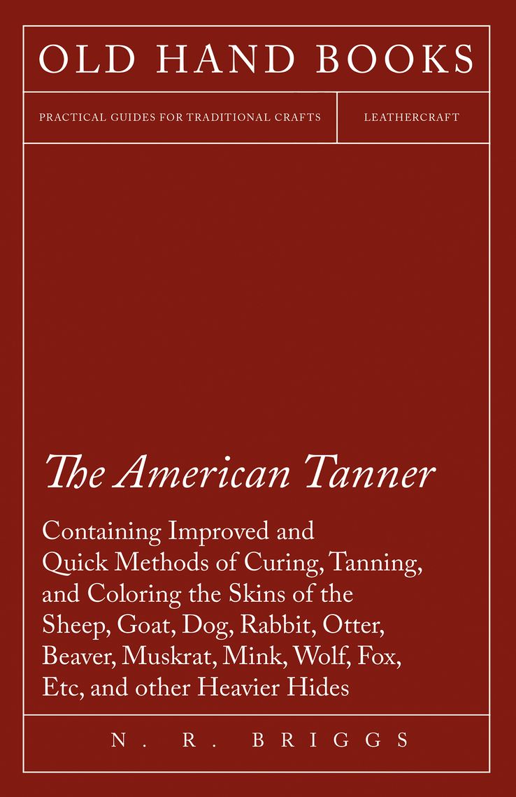 The American Tanner - Containing Improved and Quick Methods of Curing ...