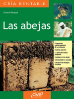 Las Abejas Matematicas | PDF | Miel | Abejas