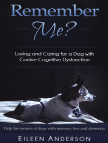 Will My Dog Remember Me After 1 Year