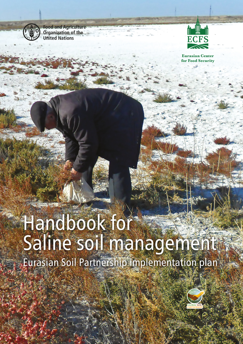 Handbook for Saline Soil Management: Eurasian Soil Partnership ...
