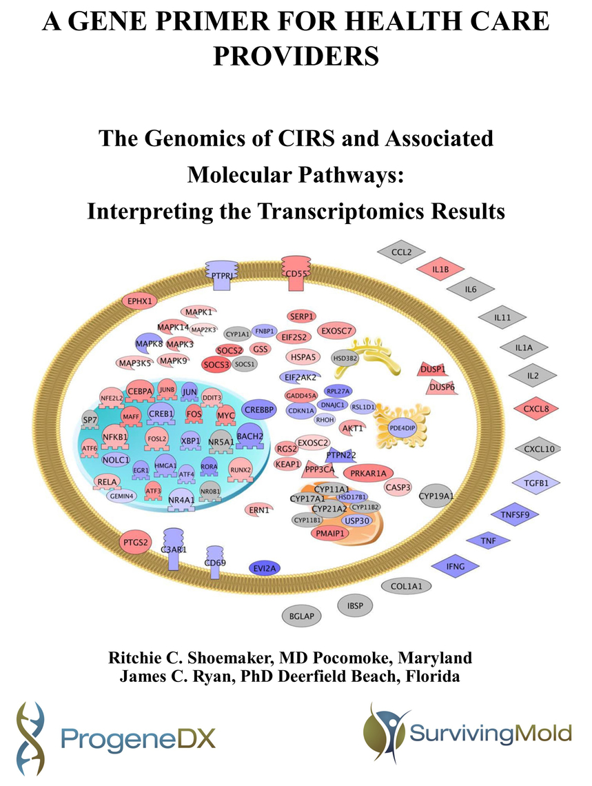 A Gene Primer for Health Care Providers by Ritchie C. Shoemaker MD ...