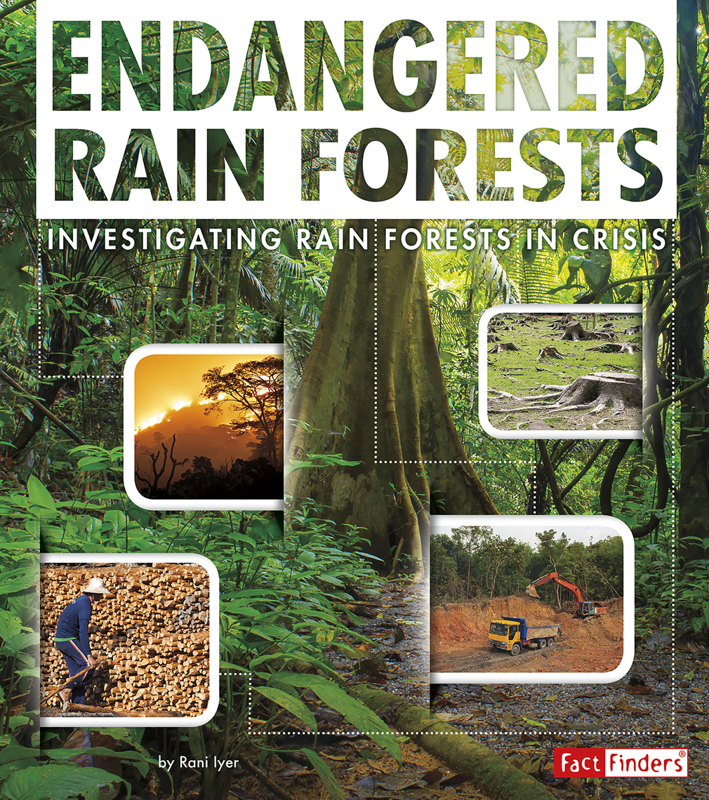 Endangered Rain Forests by Rani Iyer (Ebook) - Read free for 30 days