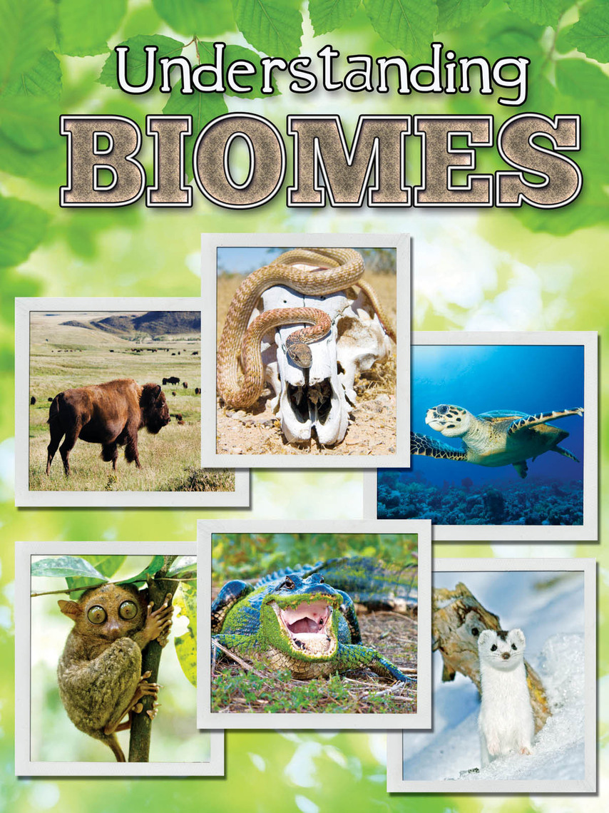 Understanding Biomes by Sturm (Ebook) - Read free for 30 days
