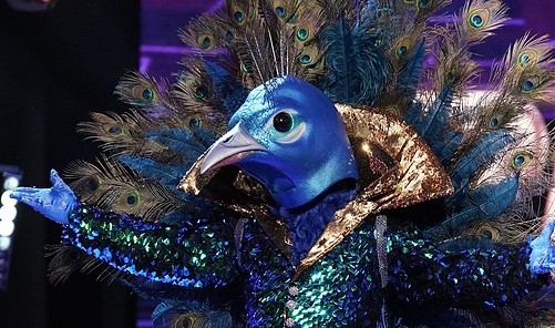 Introducing 'The Masked Singer,' Featuring Television's Hottest Peacock ...