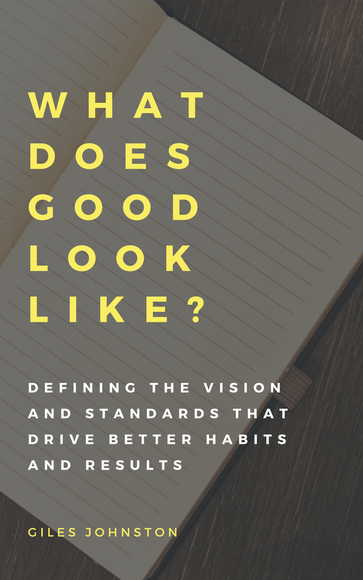 What Does Good Look Like? (Defining the Vision and Standards that Drive ...