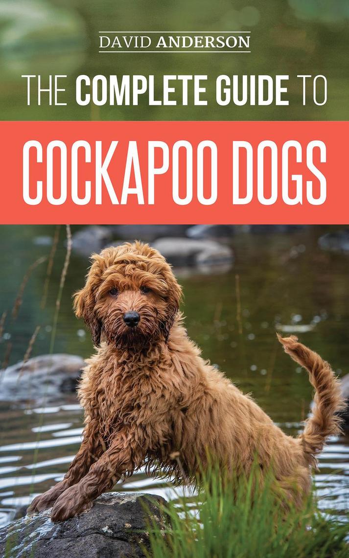 The Complete Guide to Cockapoo Dogs: Everything You Need to Know to ...