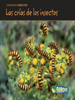 Animales Vivíparos y Ovíparos | PDF | Sistema reproductivo | Fertilidad