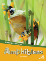 Dichotomous Key Lizard | PDF | Taxonomy (Biology) | Species