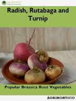How To Grow Great Rape | PDF | Rapeseed | Vegetables