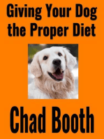 Pet Size o Meter Rabbit | PDF | Obesity | Dieting