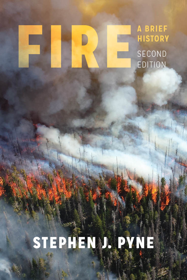 Fire by Stephen J. Pyne (Ebook) - Read free for 30 days