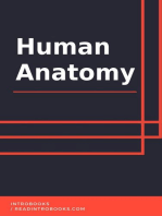 Human Anatomy Notes | PDF