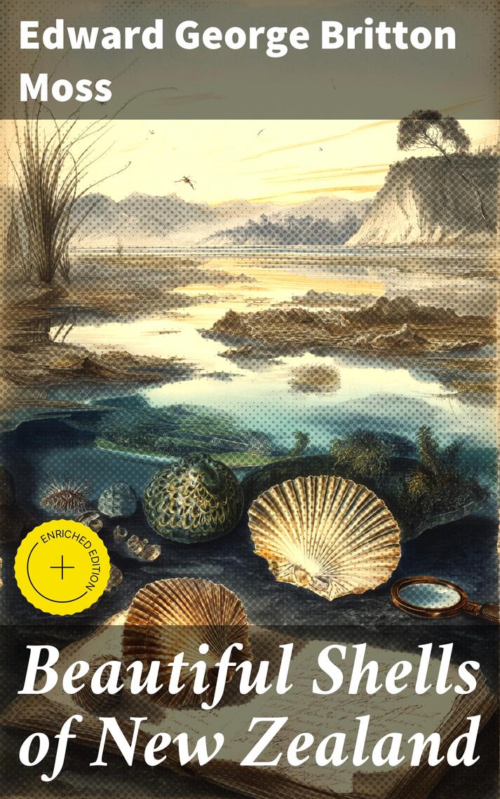 Beautiful Shells of New Zealand by Edward George Britton Moss (Ebook ...