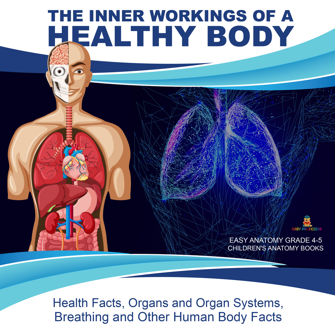 The Inner Workings of a Healthy Body : Health Facts, Organs and Organ ...