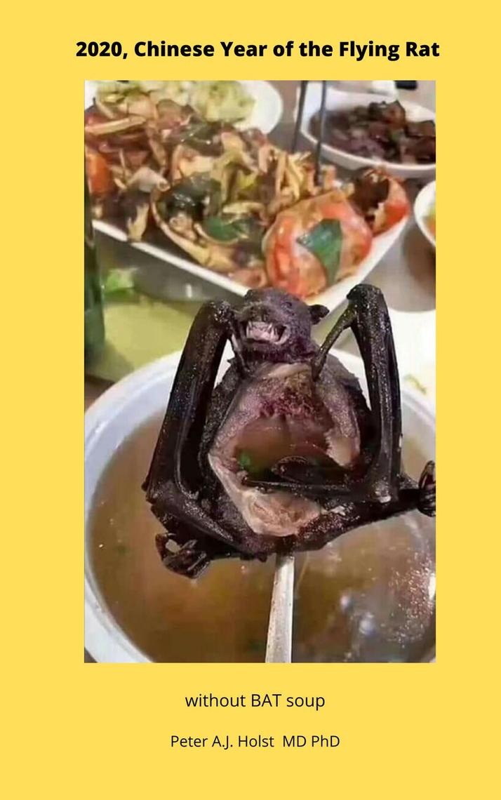 The Chinese Year of the Flying Rat by Peter A.J. Holst MD PhD (Ebook ...