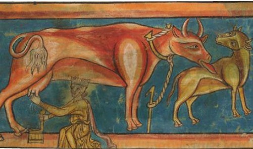 Medieval Cattle Raiders - ARCHAEOLOGY | Everand