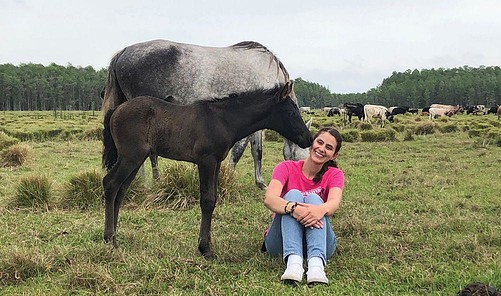 Therapy Horses Gone Wild - Horse & Rider | Everand
