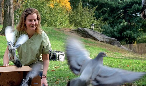 KIRA GRANT Wild Bird Fund, New York City - All Creatures | Everand