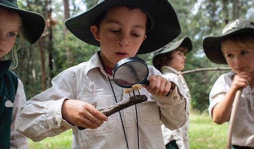 The UK Forest School Association’s Six Key Principles - Australian ...
