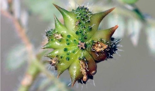 Letter Of The Month - How It Works | Everand