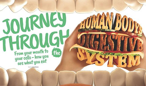 JOURNEY THROUGH the HUMAN BODY´S DIGESTIVE SYSTEM - How It Works | Everand