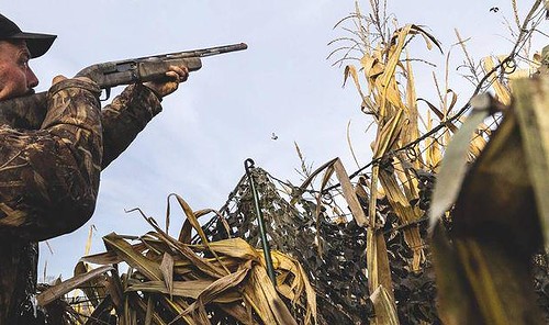 Judging Distance - Sporting Gun | Everand