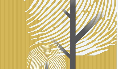 Your Ultimate Guide To Discover Your Family Tree - TechLife | Everand