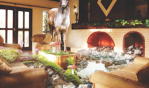 Create A Forest In Your Lounge - TechLife | Everand