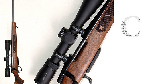 CZ 557 American - Man Magnum | Everand