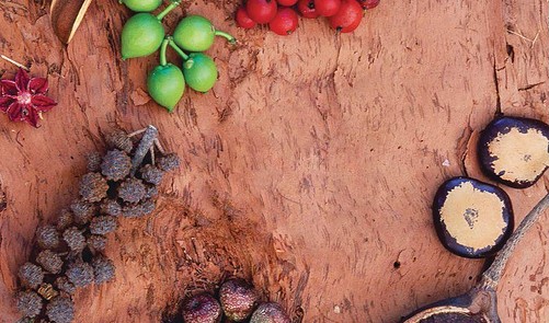 Native Foods: The Oldest Foods On Earth - Pip Magazine | Everand