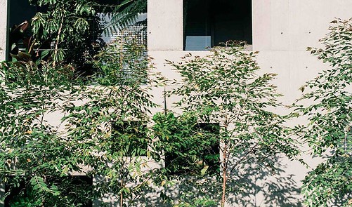 Windows Over Windows - BluPrint | Everand