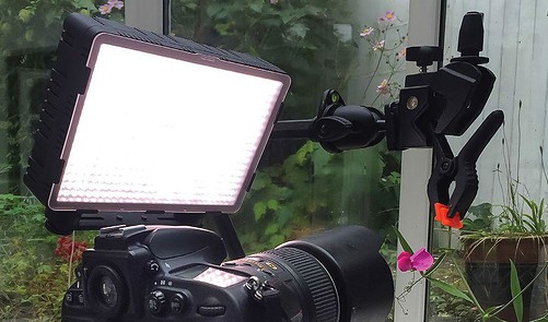 Focus-stacking explained - Practical Photoshop | Everand