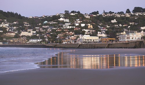 Plan D - Dish | Everand