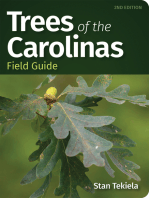 Tree Identification Cards | PDF | Flora | Trees