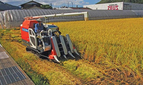 How Mechanisation Can Help Establish Rice Production In SA - Farmer's ...