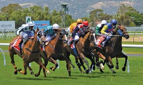 Inbreeding, Outcrossing, Line Breeding And Hybrid Vigour - Farmer's ...