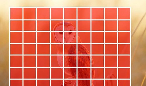 Camera Metering Modes Explained - Digital Photographer | Everand