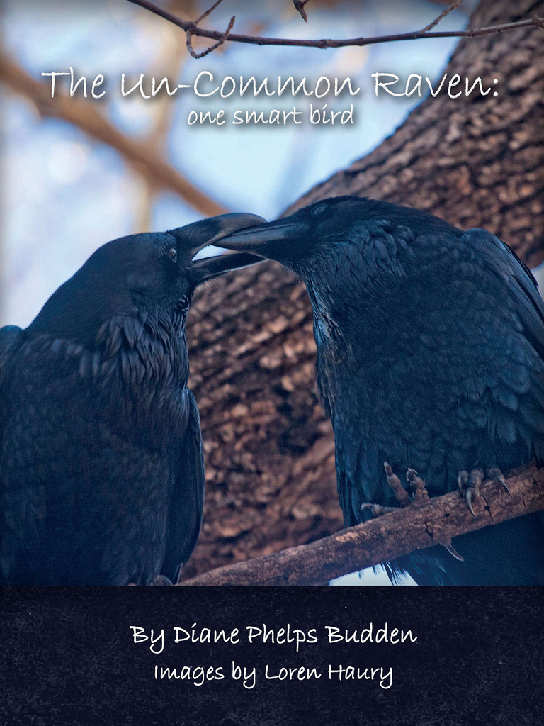 The Un-Common Raven by Diane Phelps Budden (Ebook) - Read free for 30 days