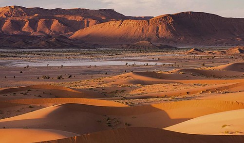 Sahara The Forgotten Ecosystem - BBC Wildlife Magazine | Everand