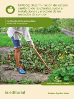 Ficha Técnica Del Pasto Marandú (Brachiaria Brizantha Cv. Marandú ...