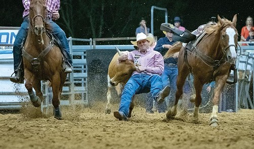 PROFILE Xtreme Broncs Rising Star MICK KNIGHT - Australian Performance ...