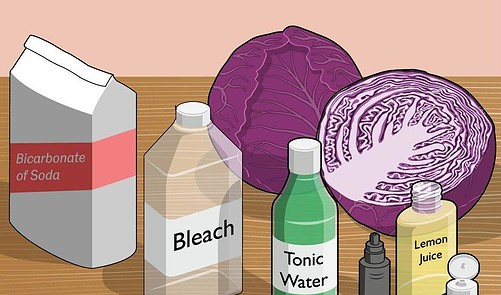 Make A Red Cabbage Acid Test - How It Works | Everand